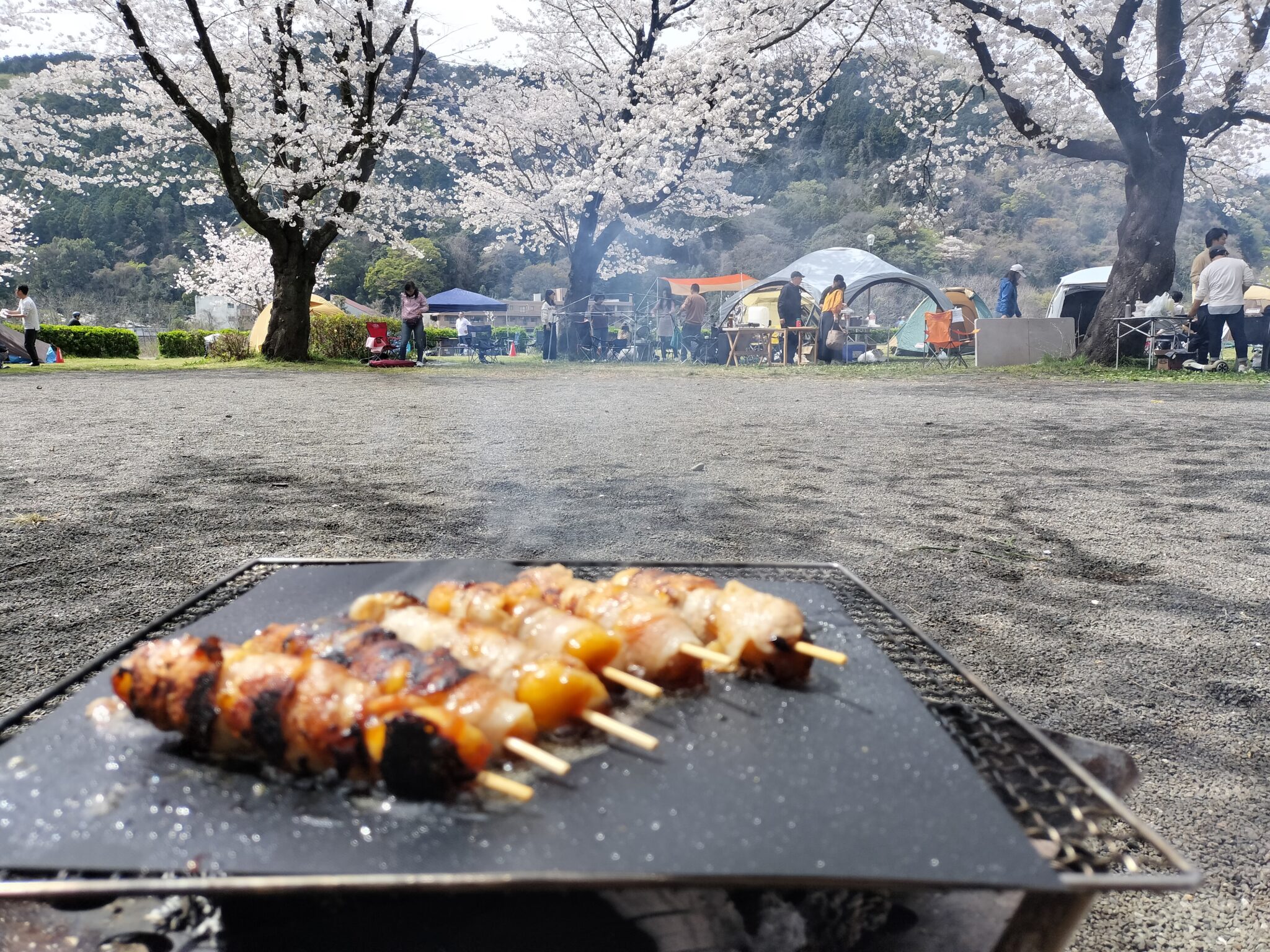 ダイソーのBBQ便利シートが全く焦げないで調理可能！豚バラみたらし団子 - らくキャン SAGAMIHARA